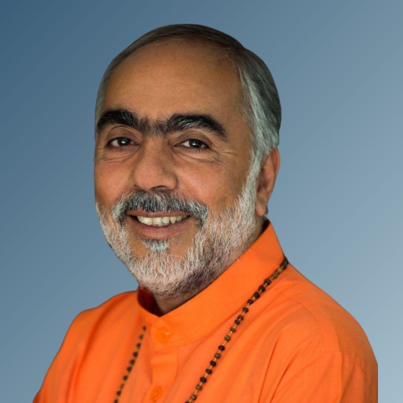 Guru Parampara - Chinmaya Mission WRC